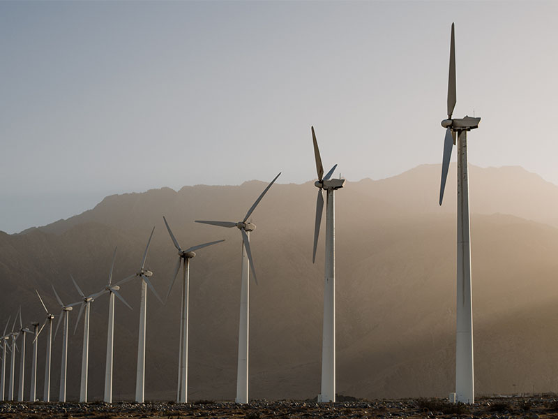 Camps | Lone Tree Camps