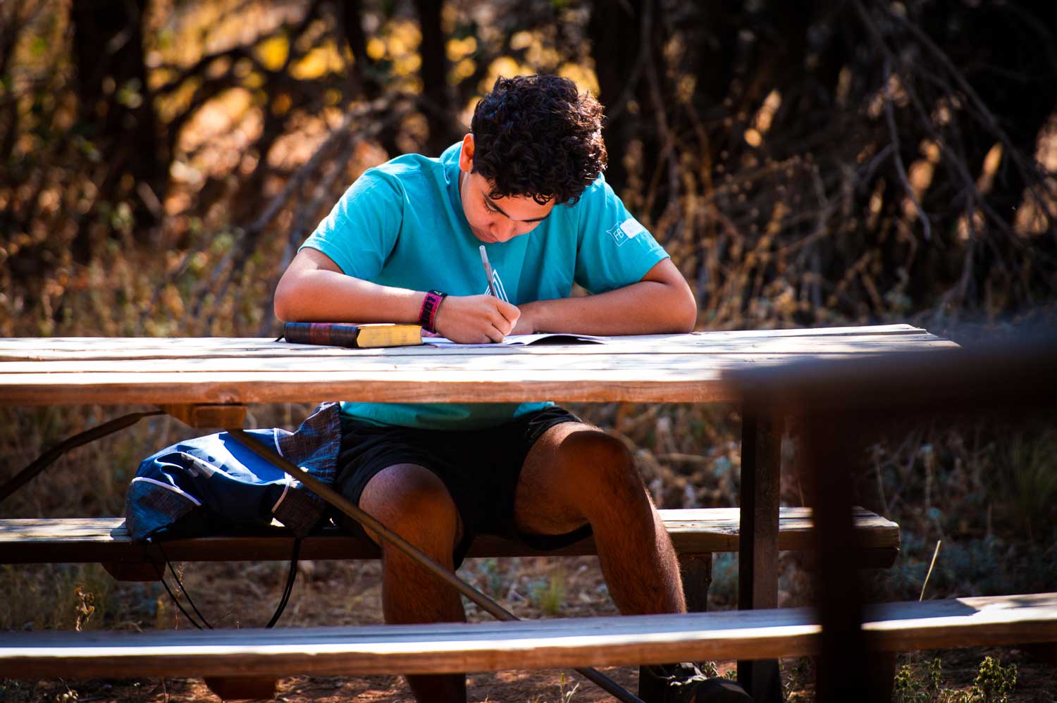 Lone Tree Ranch | Lone Tree Camps