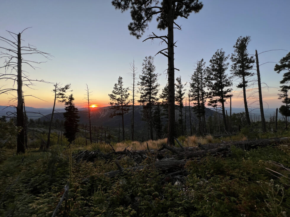 Fort Lone Tree | Lone Tree Camps