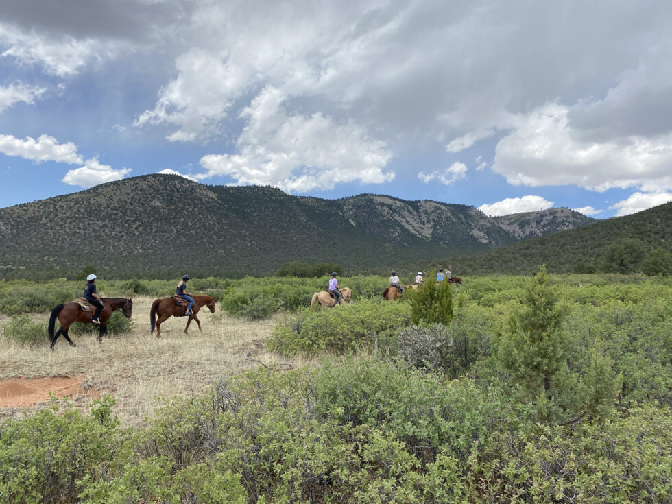 Lone Tree Ranch | Lone Tree Camps