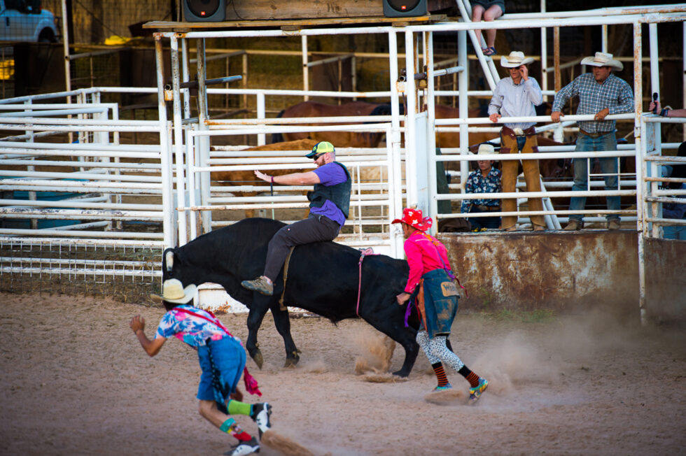 Lone Tree Ranch | Lone Tree Camps